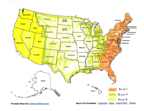 The Solution Offset – Mad Scientist BBQ